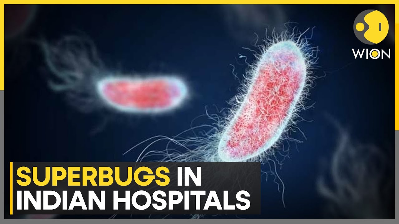 ICMR reports on Superbugs in Indian hospitals: What are Superbugs ...
