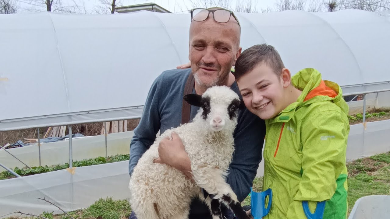 Kad mu neko da 10 km za čokoladu on kupi živini hrane..... - YouTube
