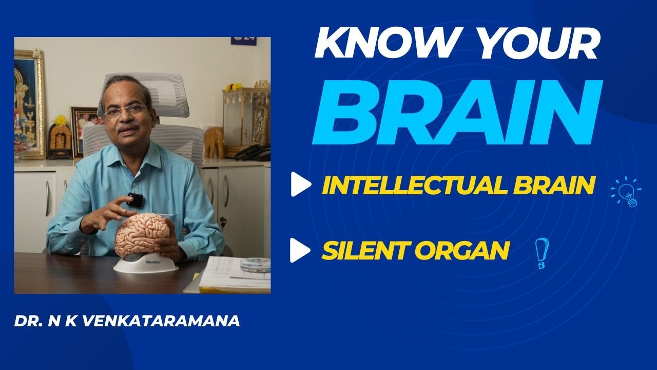 Know your Brain: How the brain and the mind works? - YouTube
