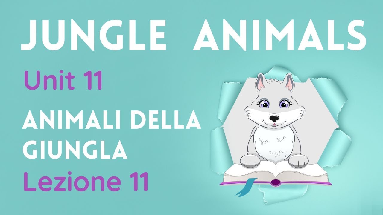 Jungle animals in English - Animali della giungla in inglese | English ...