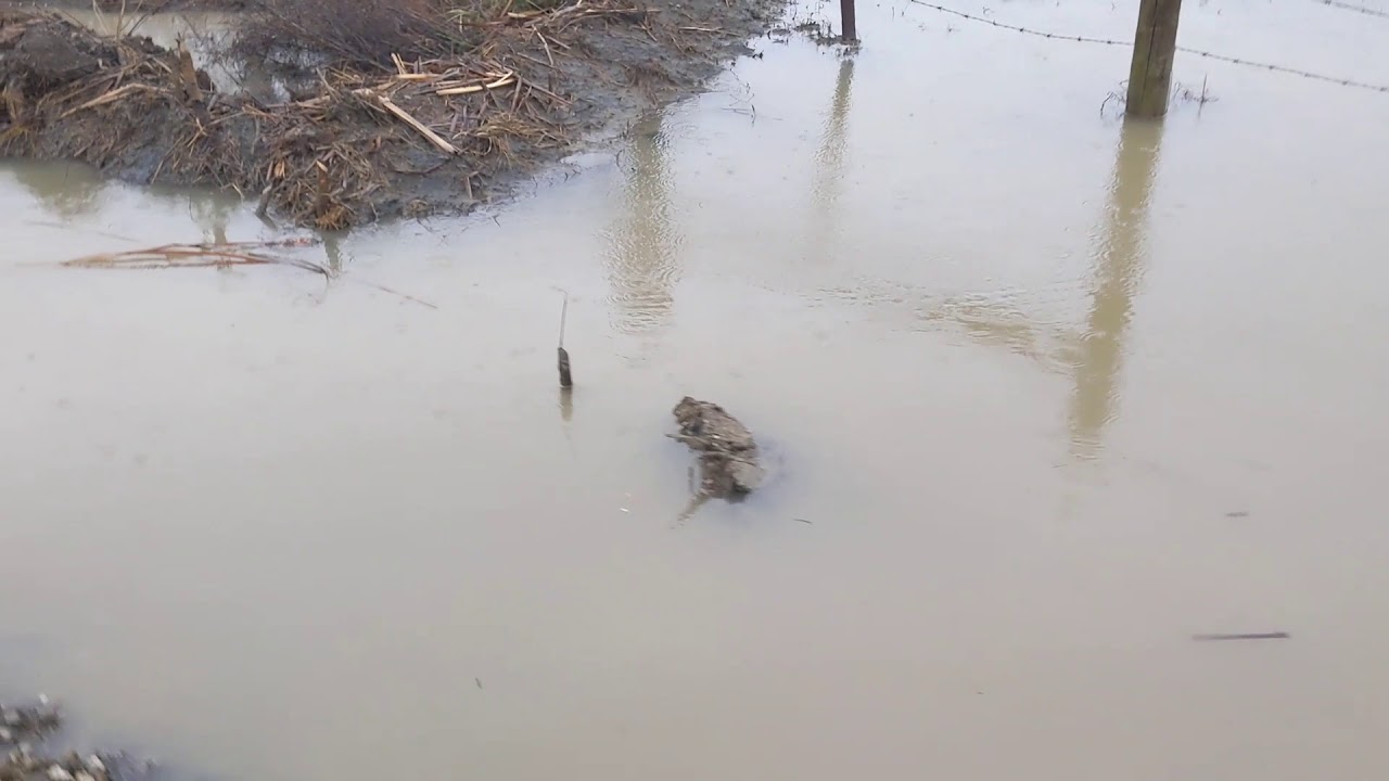 Digging out ditches in the rain - YouTube