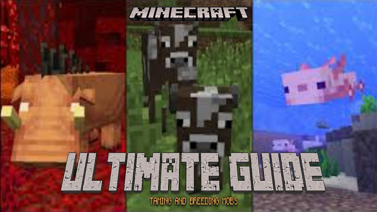 1.21 Ultimate Guide: How To Tame/Breed Mobs In Minecraft - YouTube