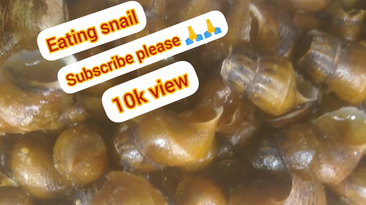EATING SNAIL WITH RICE FLOUR, ALOO BHARTA, BEIGUN BHARTA || NORTH EAST ...