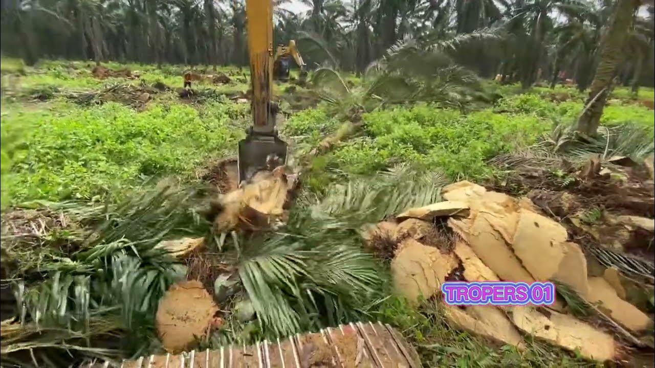 Chipping kelapa sawit plasma - YouTube
