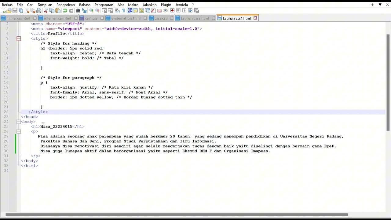 Tugas Desain Web_ Nisa (22234015) _ Menggunakan Bahasa HTML_CSS - YouTube