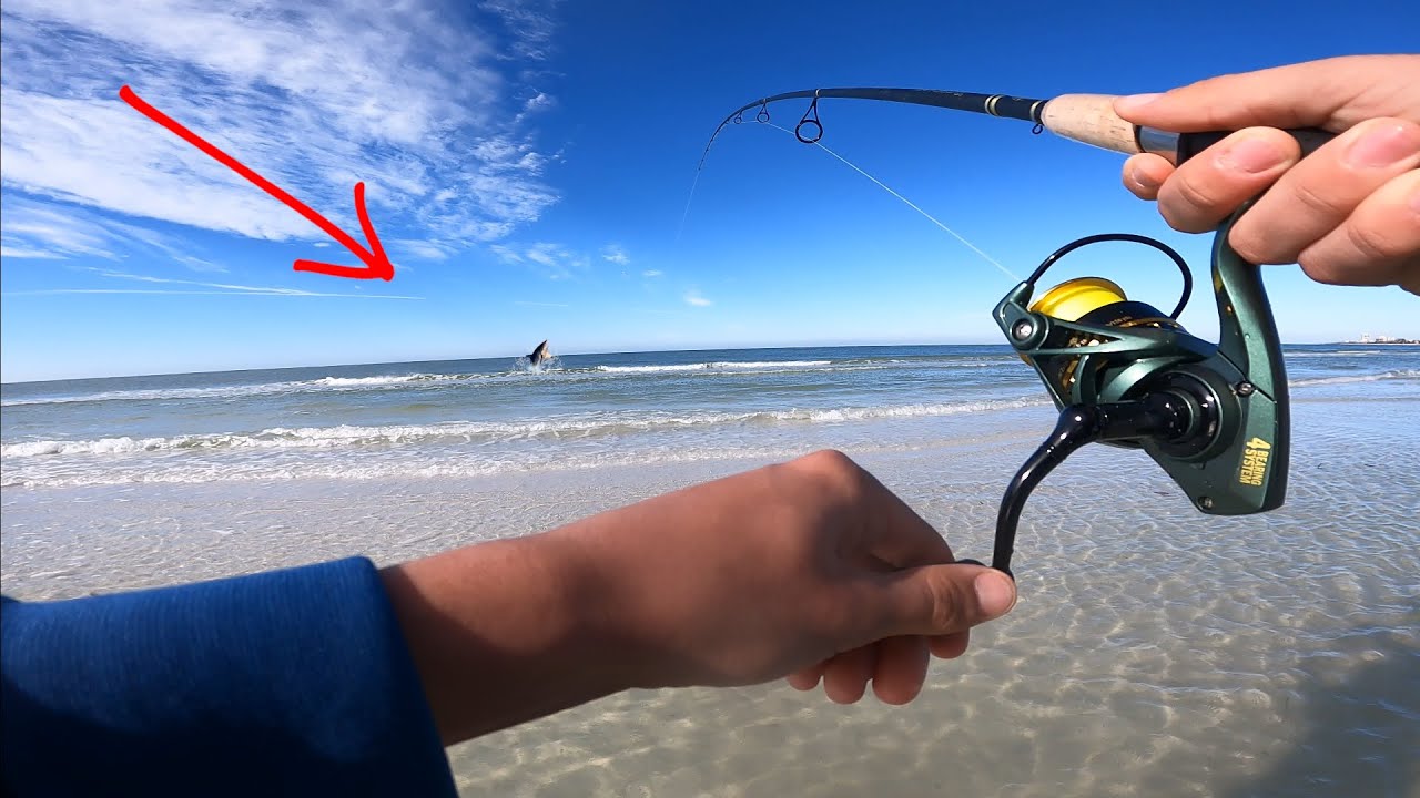 Shark Fishing Off the Shores of Siesta Key Florida! - YouTube