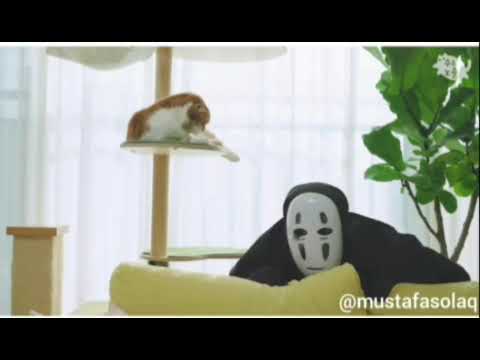 Maskeyle kediyi korkutan adam