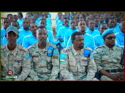 Puntland Siciid Deni \