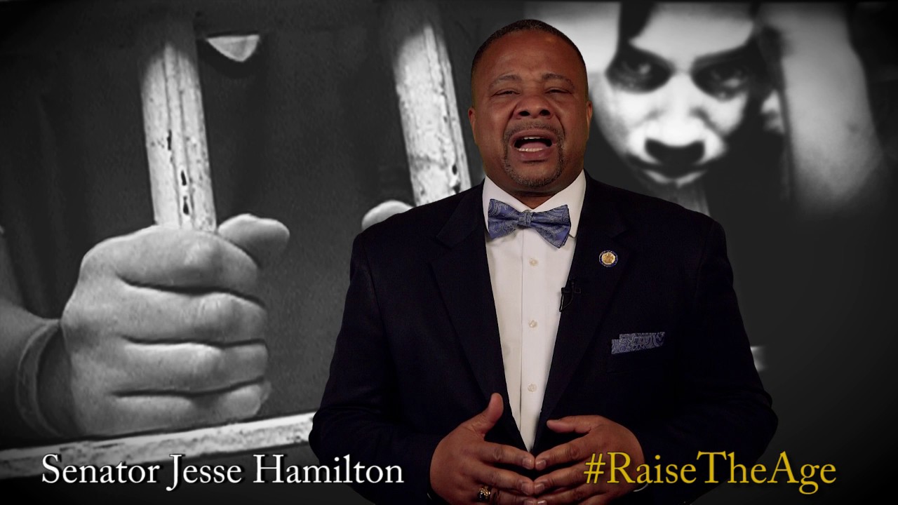 Senator Hamilton addressed Raise The Age - YouTube
