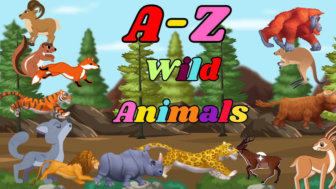ABC Wild Animals |A Wild Journey Through the Alphabet | Alphabets ...