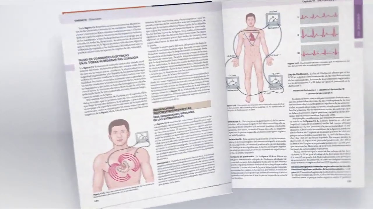 Guyton y Hall. Tratado de fisiología médica. Hall J.E., 13ª edición ...