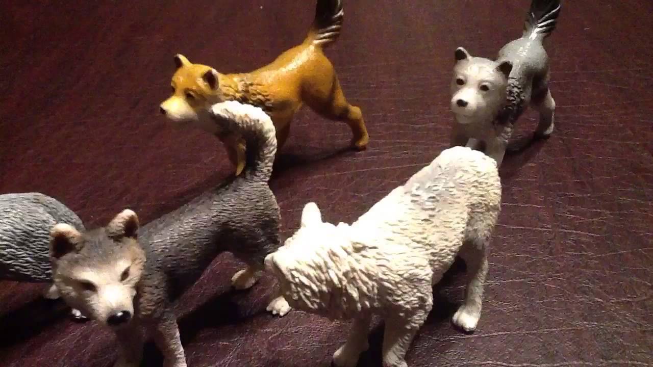 Wolves vs Bison - YouTube