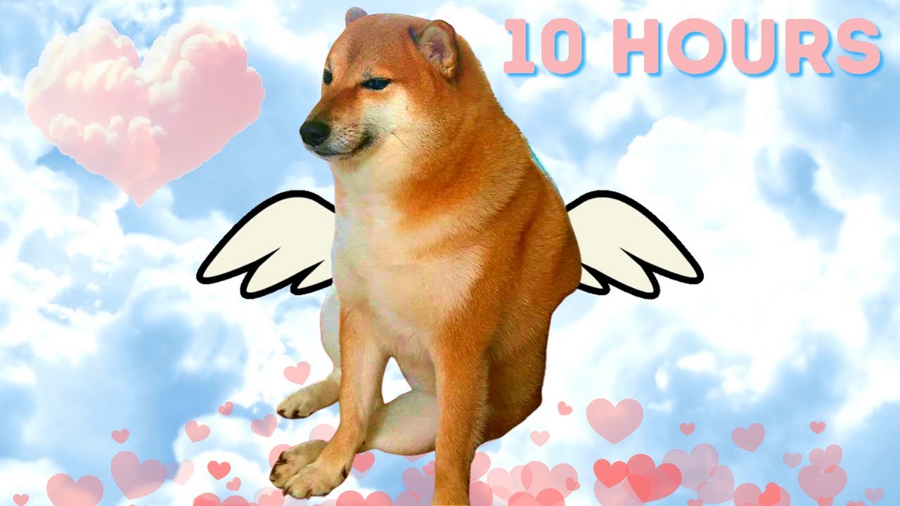 Cheems Dog Goes To Heaven 10 Hours - YouTube