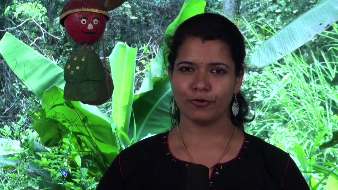 DCB Drisya: Navya Vinod- Research Intro - YouTube