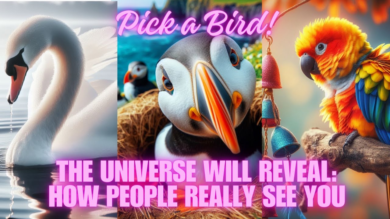 How Do People See You? 🔮 Let The Universe Show You: How You Are ...