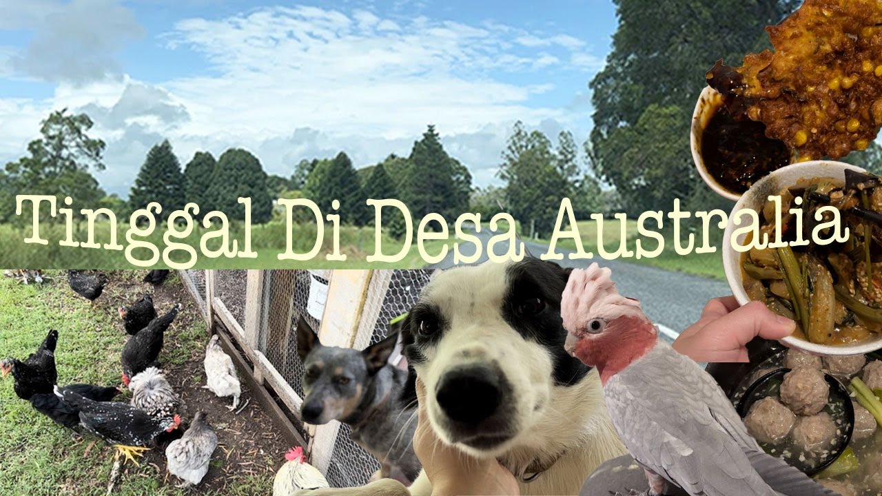 DAILY VLOG #1 | Pasangan Indonesia Tinggal Di Desa Australia! - YouTube