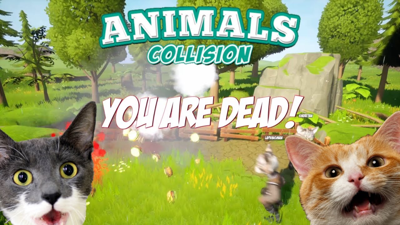 Cat person battle royale (with exploding sheep) - Animals collision - YouTube