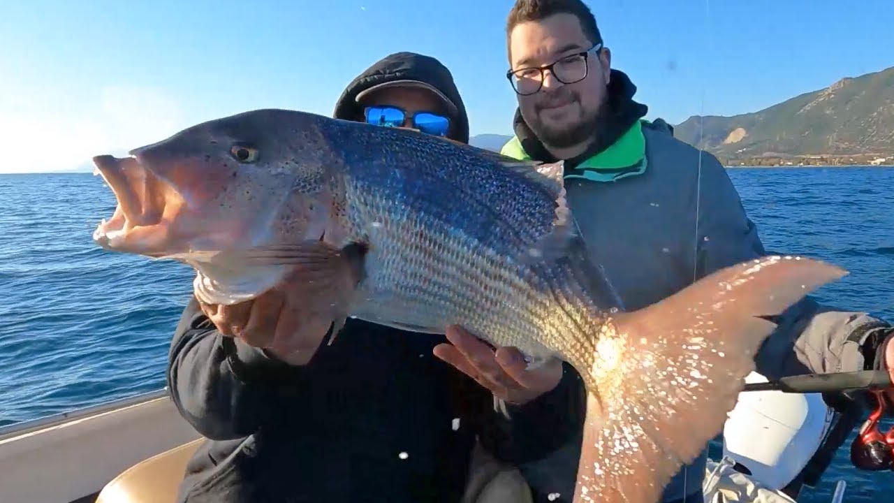 Ένα ΥΠΈΡΟΧΟ ΑΠΌΓΕΥΜΑ 🎣 με ΜΕΓΆΛΕΣ ΣΥΝΑΓΡΊΔΕΣ καί ΚΑΘΕΤΉ. ΨΆΡΕΜΑ - ΕΠΟΣ ...