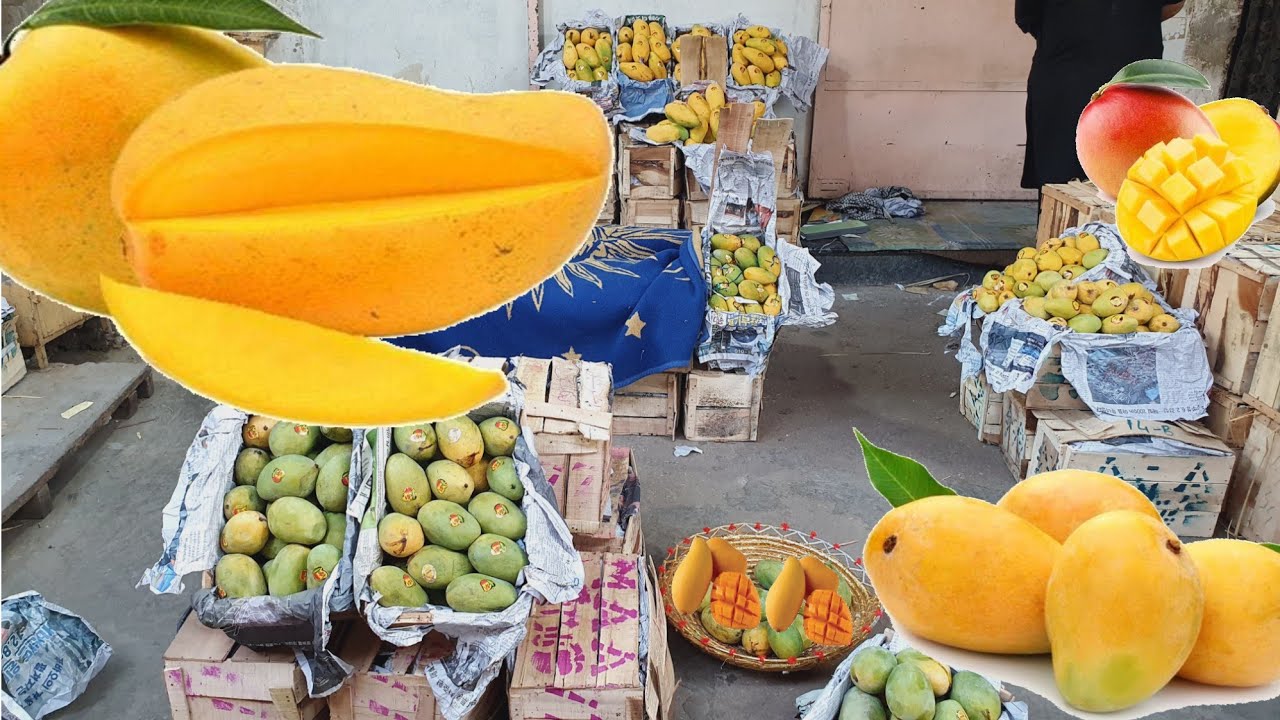 World best quality Pakistani Mango | Premium export Quality Mango ...