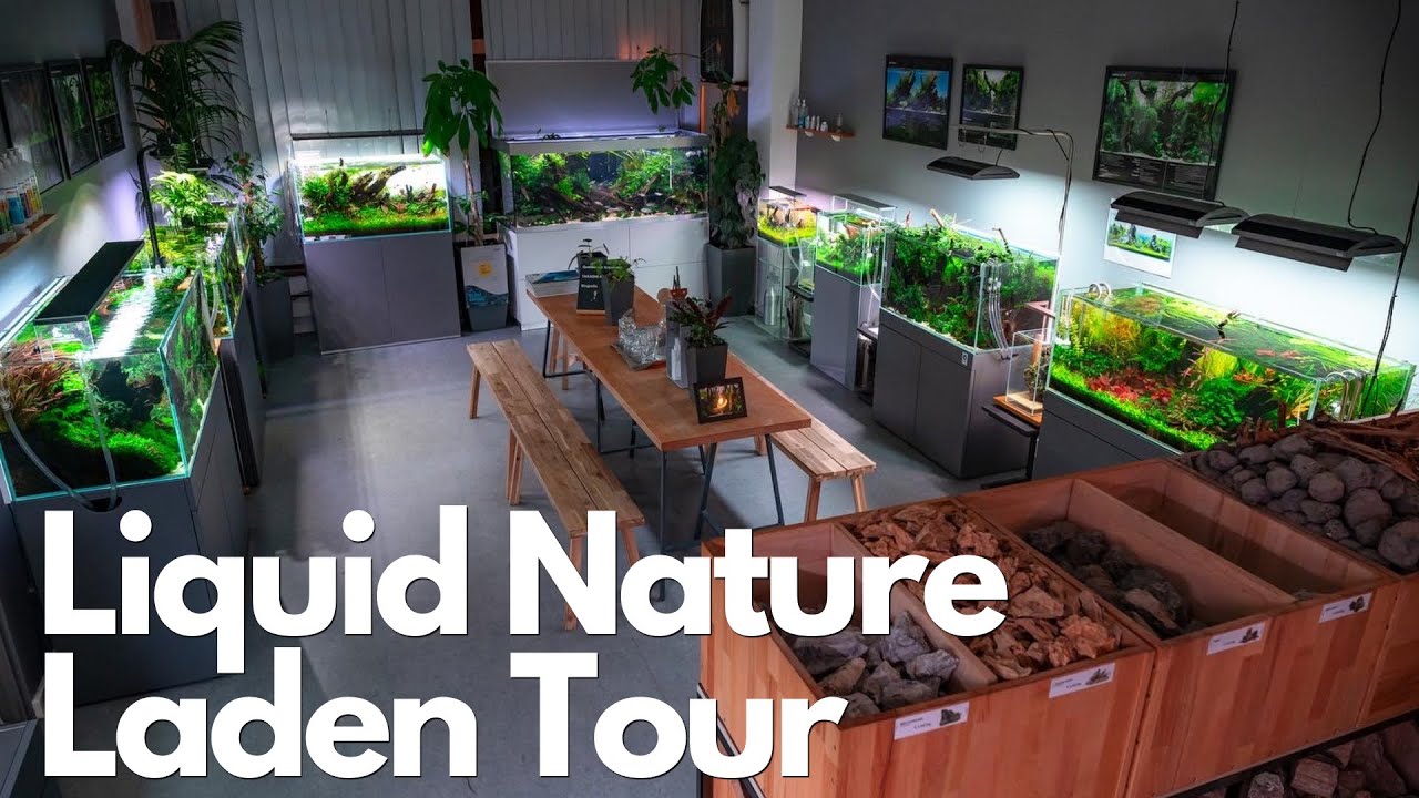 Der BESTE Aquascaping Laden in Österreich! Liquid Nature Laden Tour ...