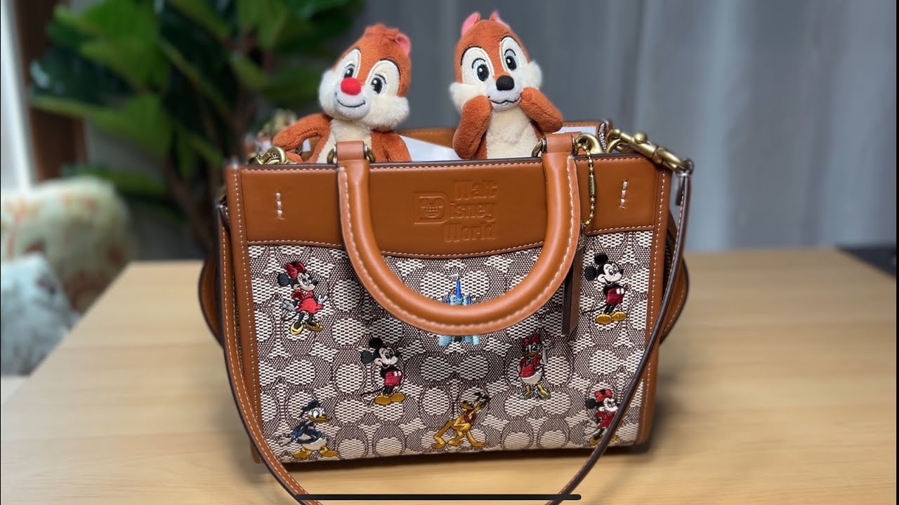 Closer look at Disney X Coach Rogue Bag 25, What fits inside & MODSHOTS ...