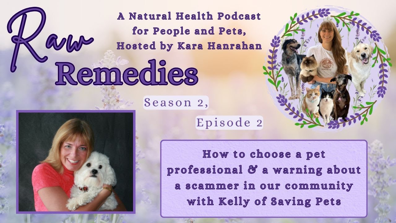 Choosing a pet professional & a warning about a scammer in our ...