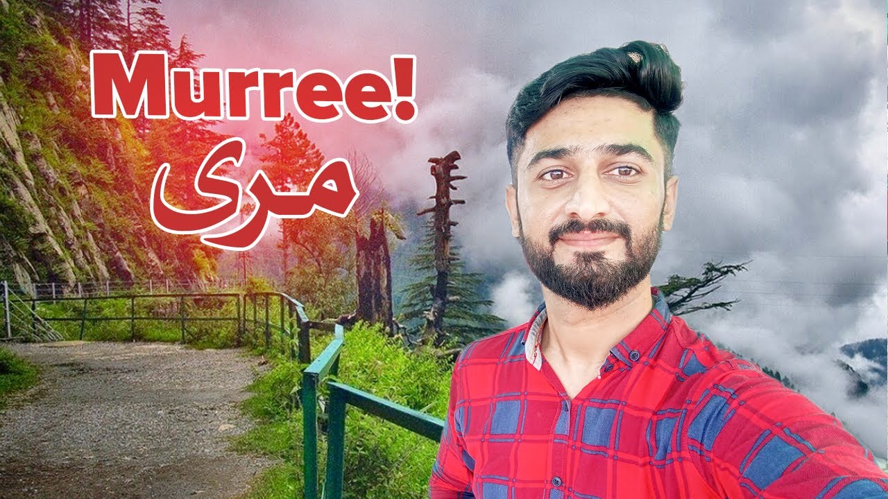 MURREE tour on 14 AUGUST! Murree mall road most beautiful cloudy ...