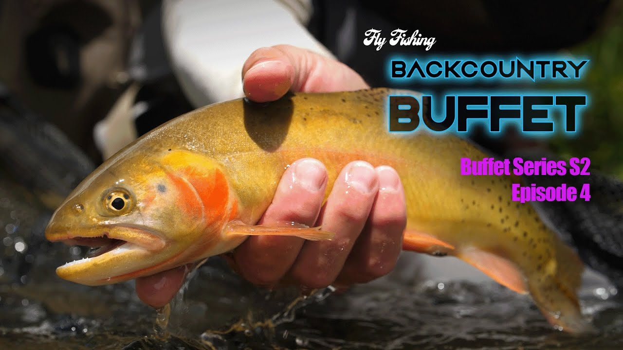Backcountry Fly Fishing Buffet S2 Episode 4 - Cutties Crushing Big Dry ...