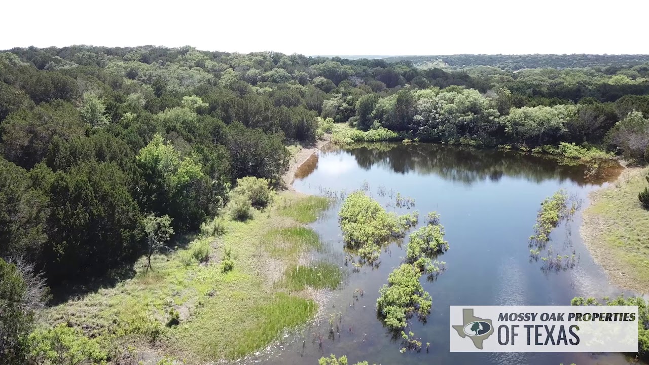 C Bar Ranch King Pasture Mossy Oak Properties of Texas - YouTube