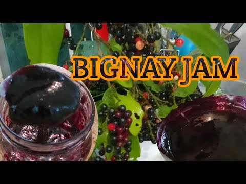 Bignay Jam homemade (wild cherry) - YouTube