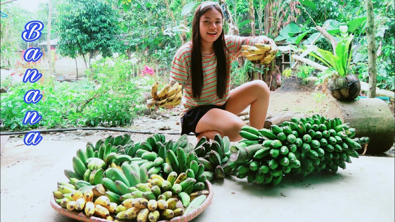 Harvesting Banana In Our Backyard At Nagluto Ng Banana Cake | DALAGANG ...