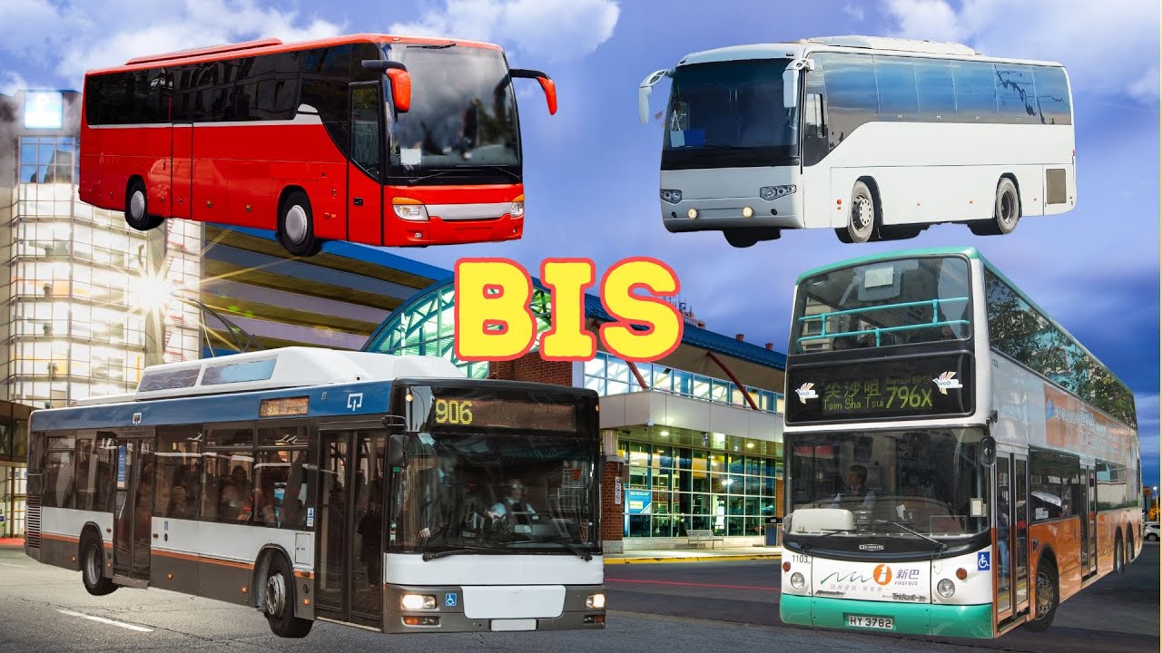 Mengenal Bis | Alat Transportasi Darat - YouTube