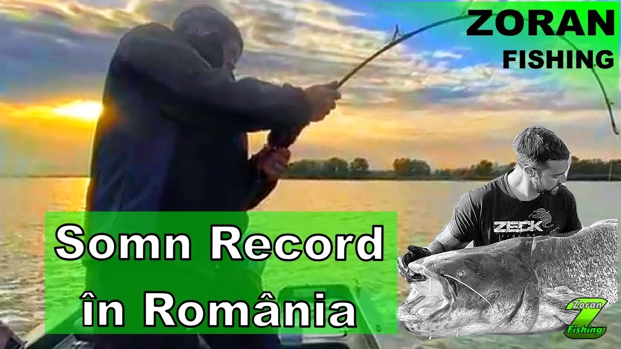 Somn RECORD - 2,57m - RECORD Romania la pestii capturati si eliberati ...