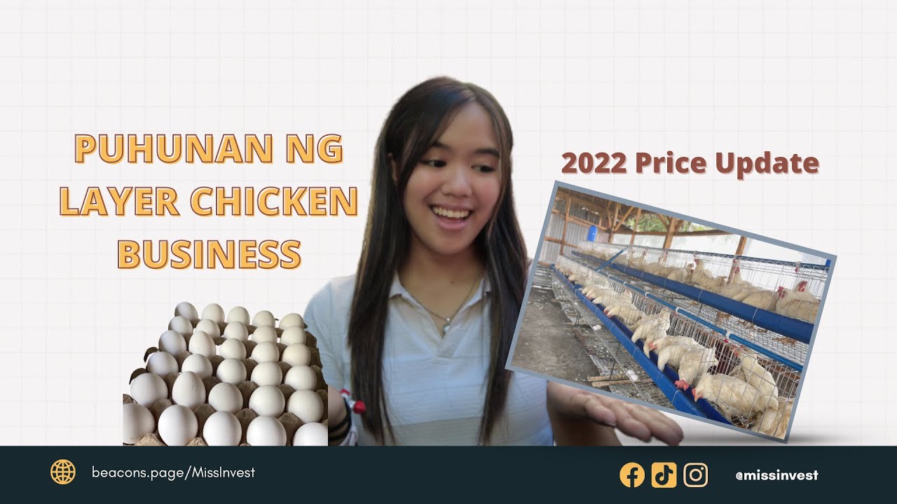EGG BUSINESS FOR BEGINNERS 🥚 2023 Puhunan/Capital ng 200 heads RTL ...