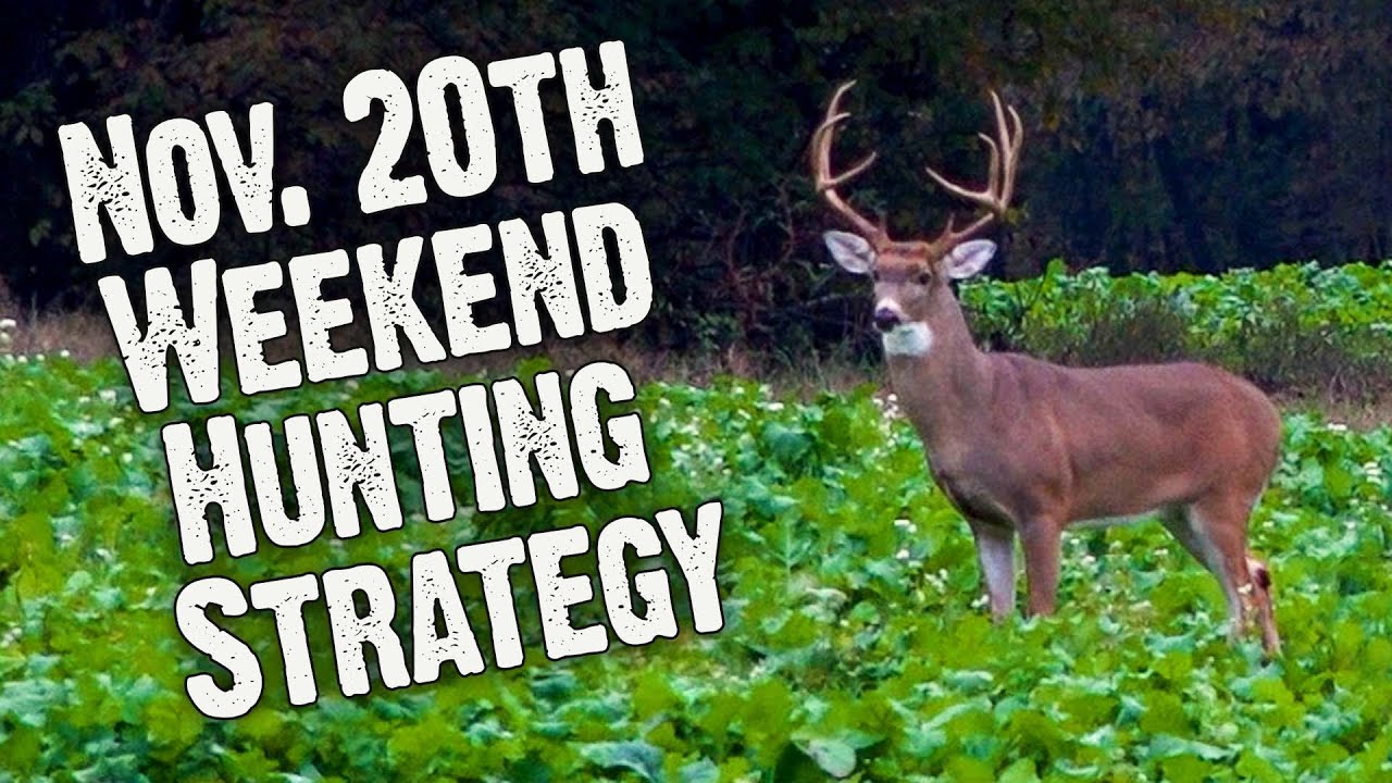 November 20, 2021: Weekend Hunting Tips - YouTube