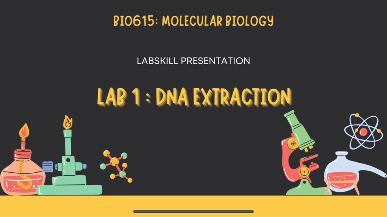 BIO615 Labskill Experiment 1: DNA Extraction - YouTube