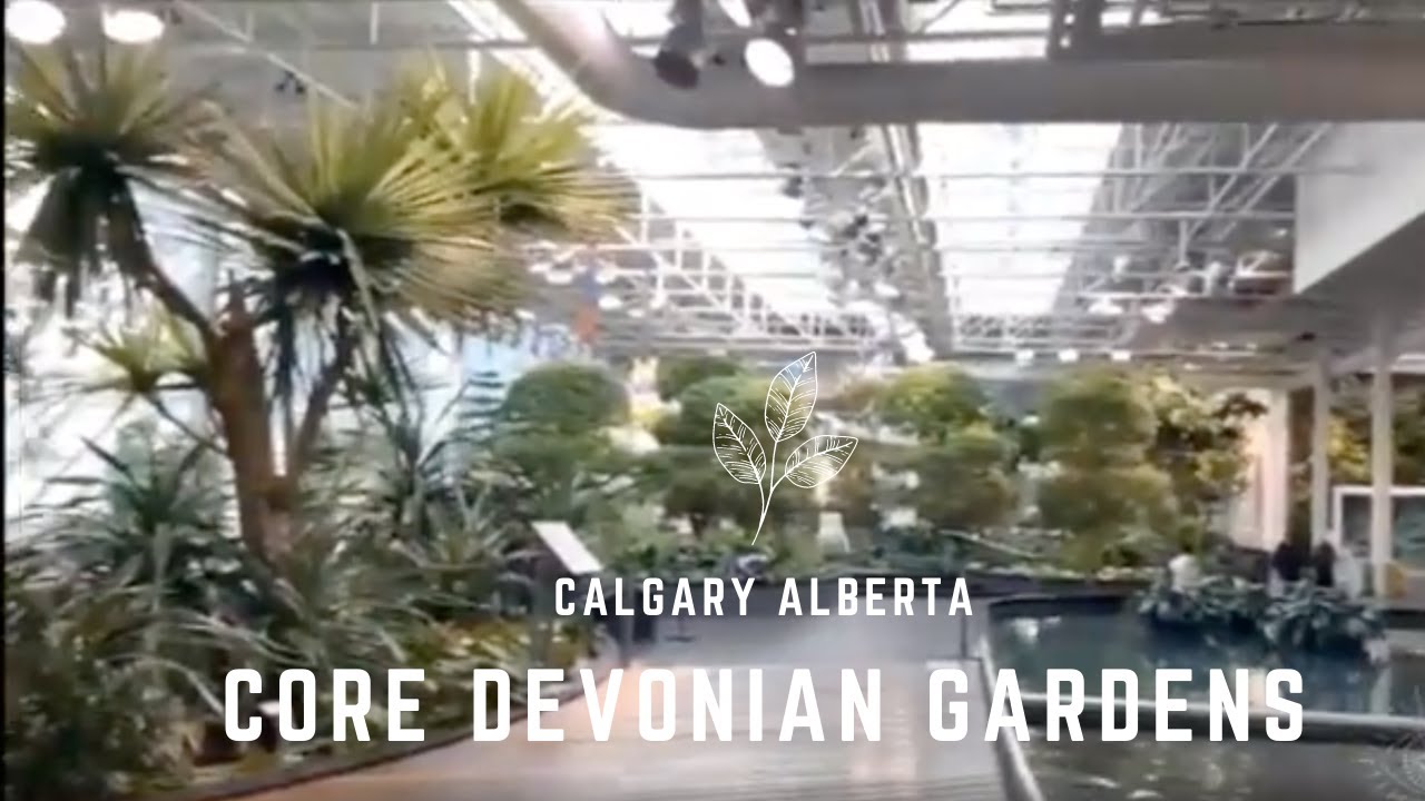 Calgary Indoor Park | Devonian Gardens INDOOR PARK (CALGARY ALBERTA CANADA) - YouTube