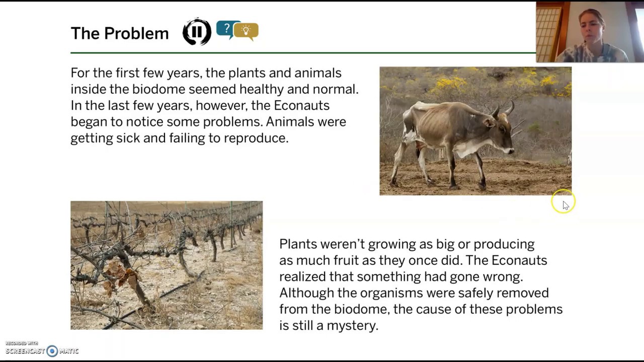 Matter and Energy in Ecosystems Lesson 1 Part 1 - YouTube