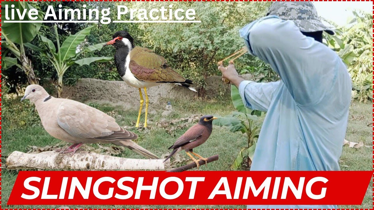 Slingshot Aiming Practice|How to aim with Slingshot|How to make ...