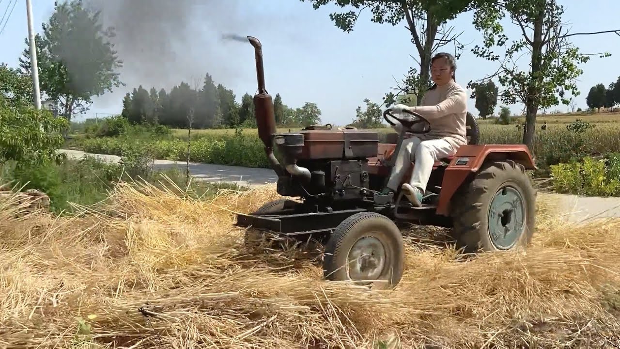 Chinese rural woman drives tractor to harvest crops - YouTube