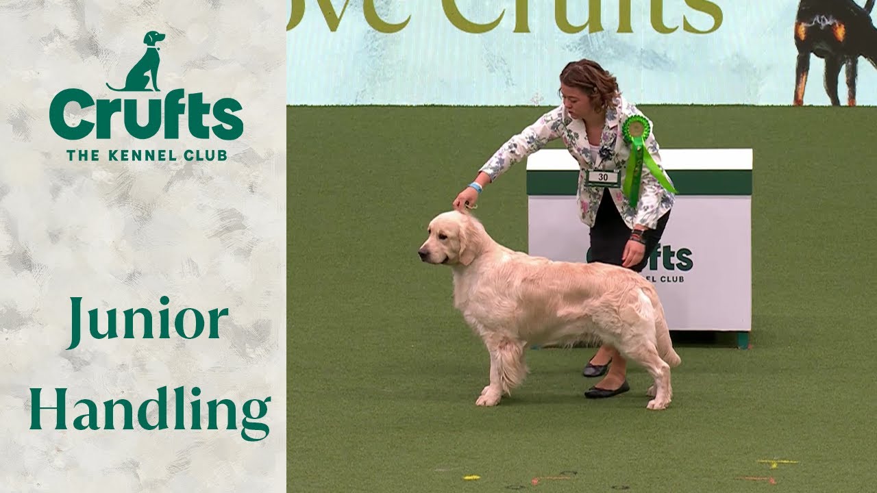 Can't get enough of them!! 🐶 International Junior Handling Competition ...