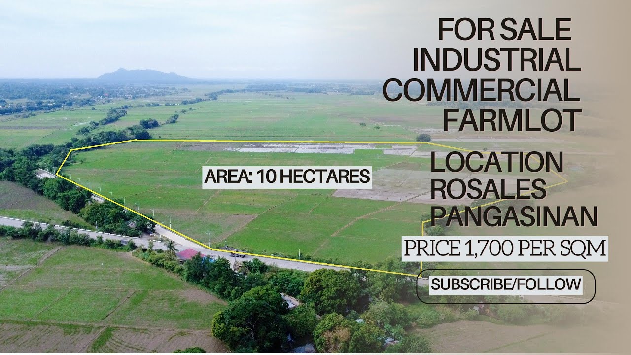 (V319) 10 HECTARES INDUSTRIAL, COMMERCIAL LOT, PRICE 1,700 PER SQM ...