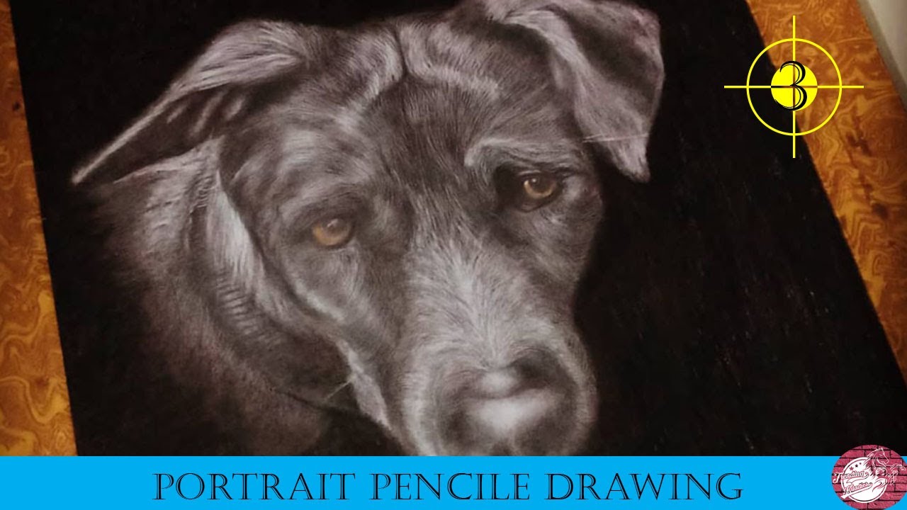 realistic dog graphite drawing || part -3 || Pencil drawing || how to ...