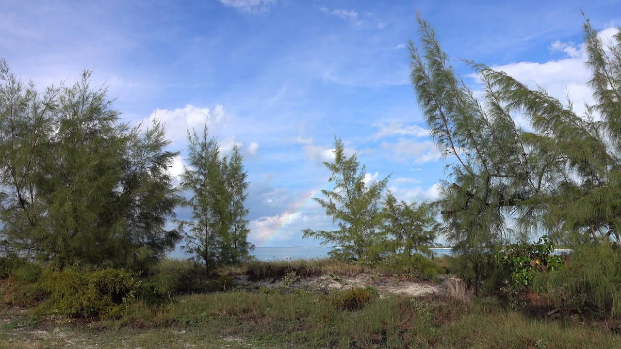 Turks & Caicos Rainbow Between the Trees - YouTube