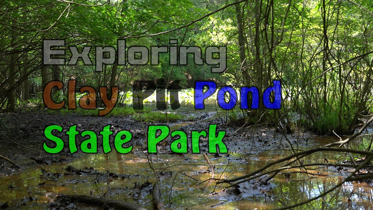 Exploring Clay Pit Pond State Park - YouTube