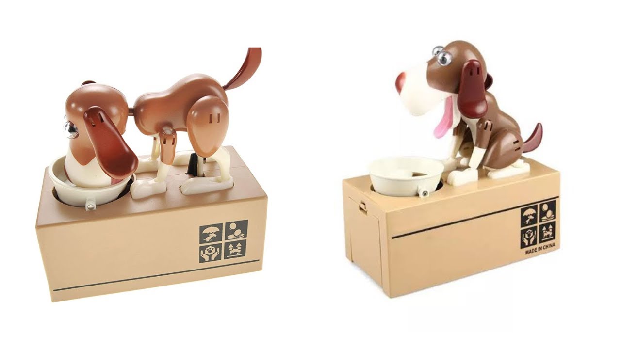 MY DOG PIGGY BANK I SANGKAY LYN - YouTube