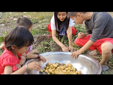 Manipur gi yumda allu potato tanba😅 - YouTube