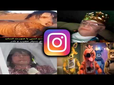 Die verrücktesten Instagram Reels erklärt