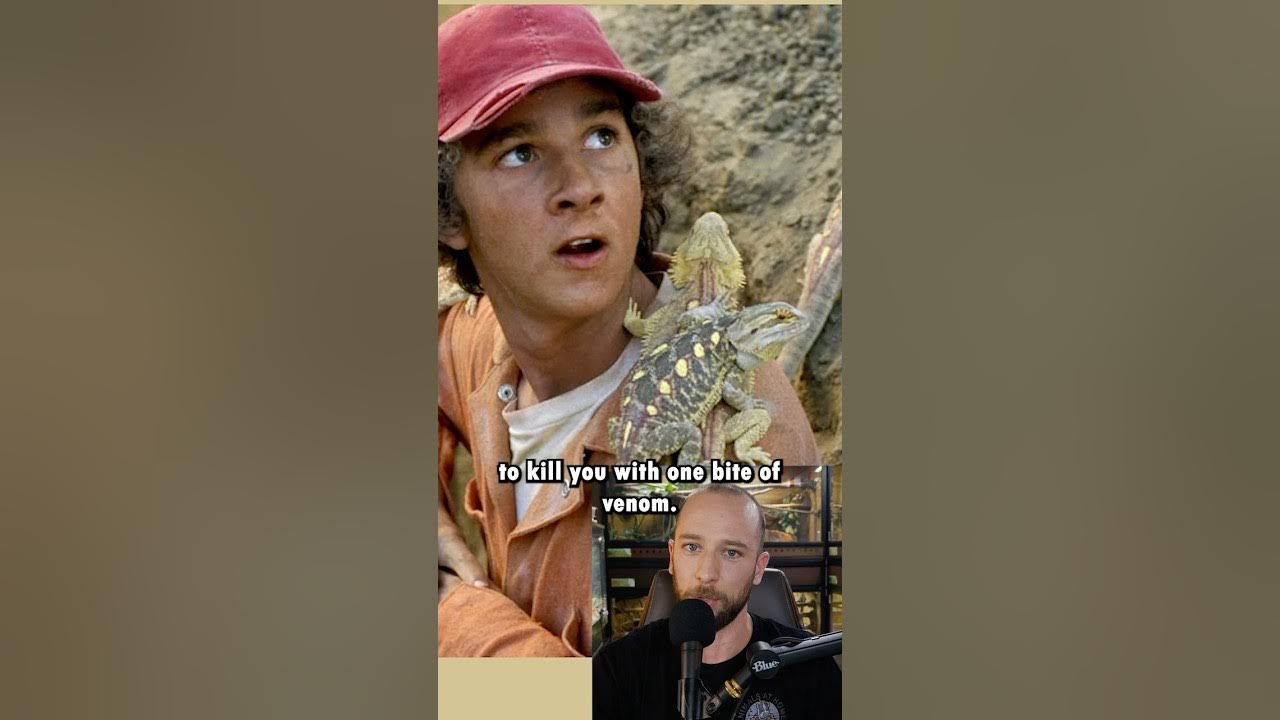Yellow-Spotted Lizard from Holes BOOK vs. MOVIE - YouTube