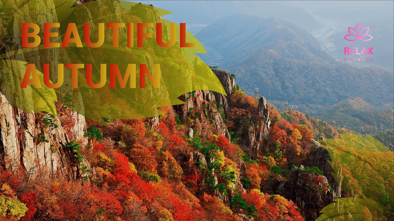 Meditate and Restore Inner Harmony With Beautiful Autumn Relaxing Music ...